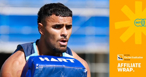 NRL 2026: Titans, Affiliate wrap: Fanciful Francis fuelling Jets' top ...